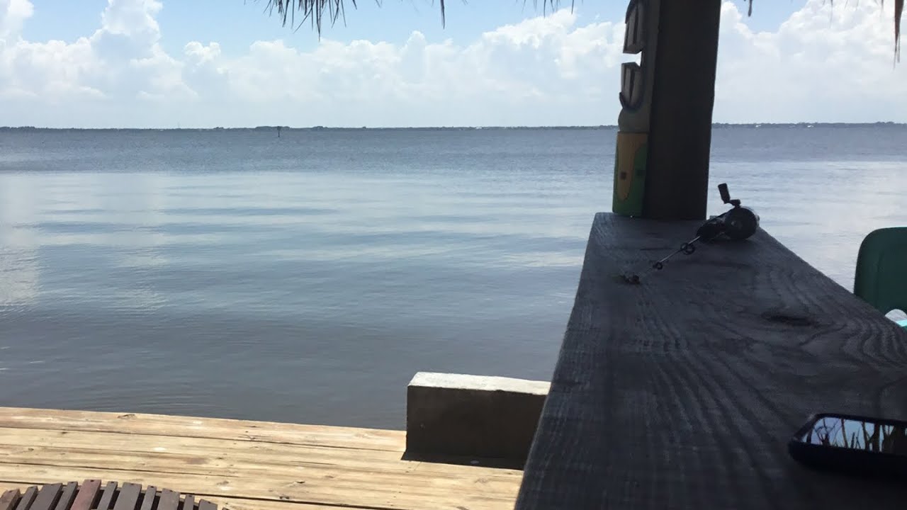 Live banana river Florida - YouTube