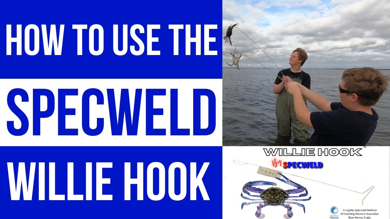 How to use the Specweld Willie Hook to catch the most crabs - YouTube