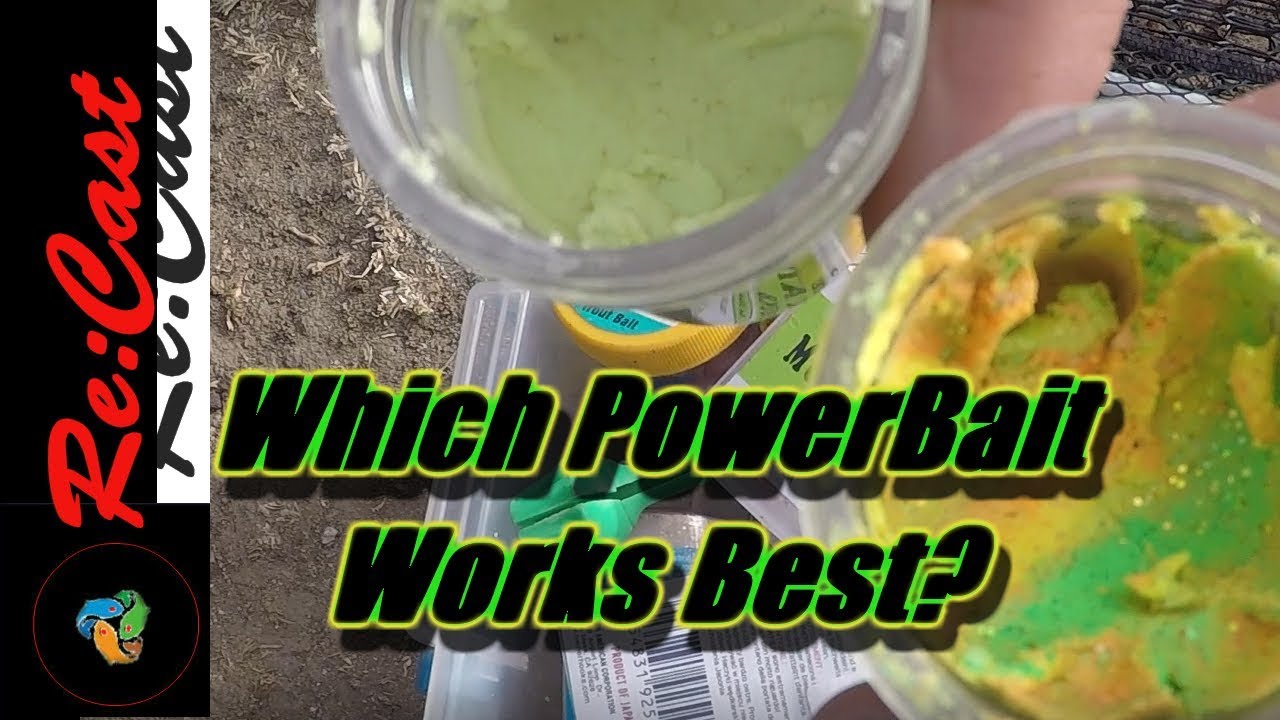 Which Power bait is better Test | ReCast Fishing SoCal - YouTube