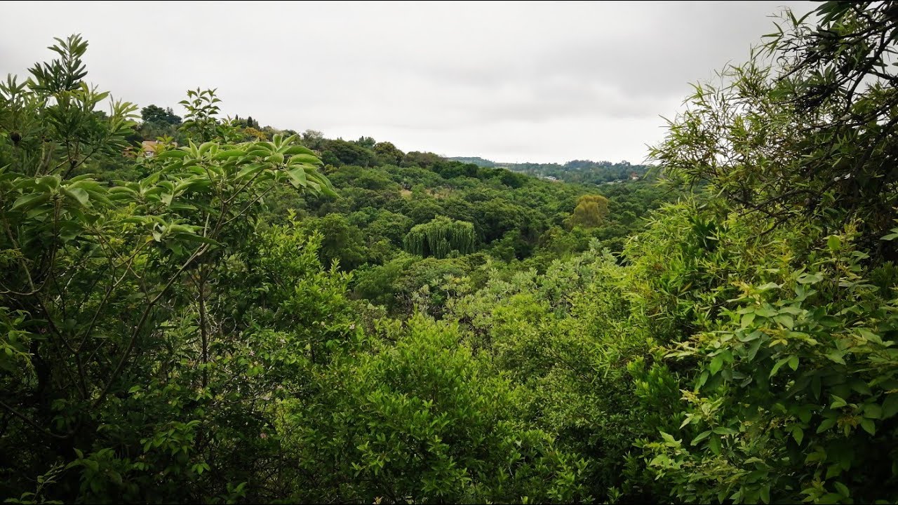 4.76 km Hike at Moreleta Kloof Nature Reserve - November 2021 - YouTube