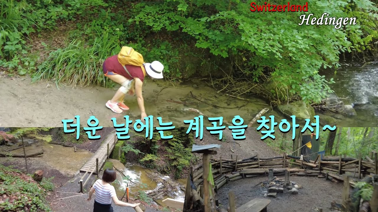 Hedingen/switzerland/스위스/ 계곡풍경과 자연, 들꽃과 조용한 마을풍경/Valley, wildflowers ...