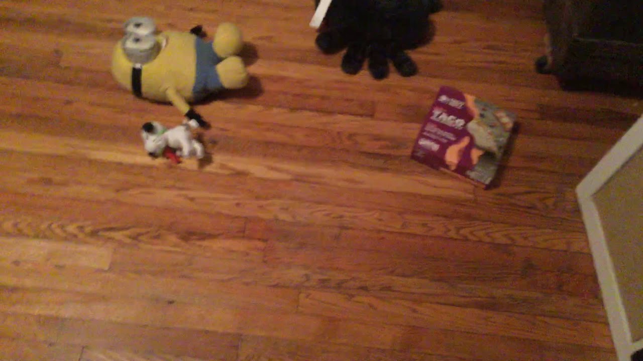 Snoopy and minion’s coconut gun - YouTube