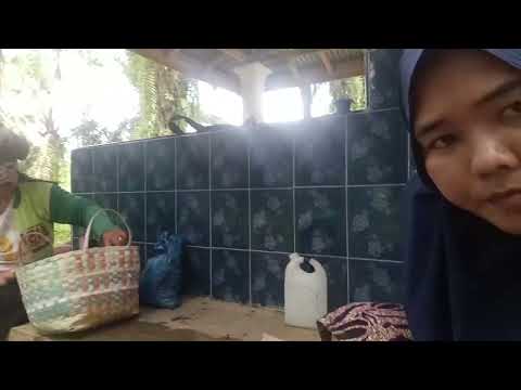 Makan dengan biring dikebun