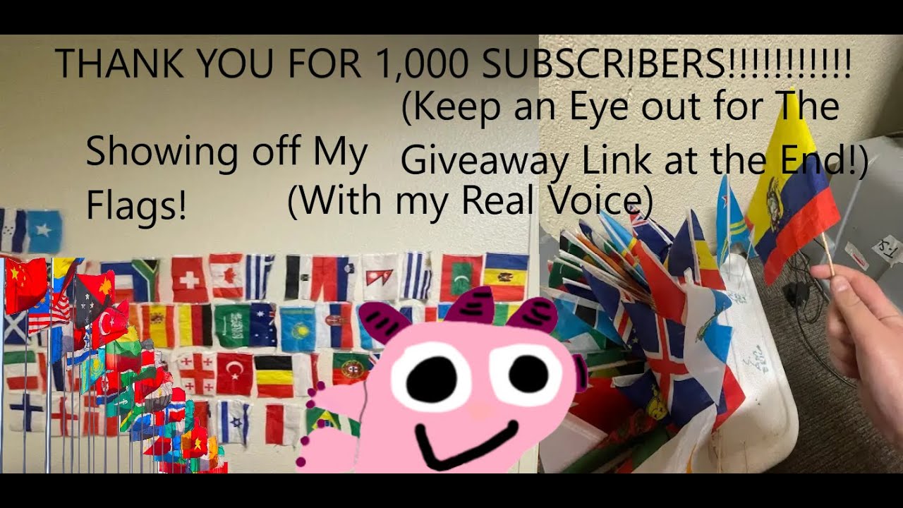Showing off My Flag Collection! | THANK YOU FOR 1,000 SUBSCRIBERS ...