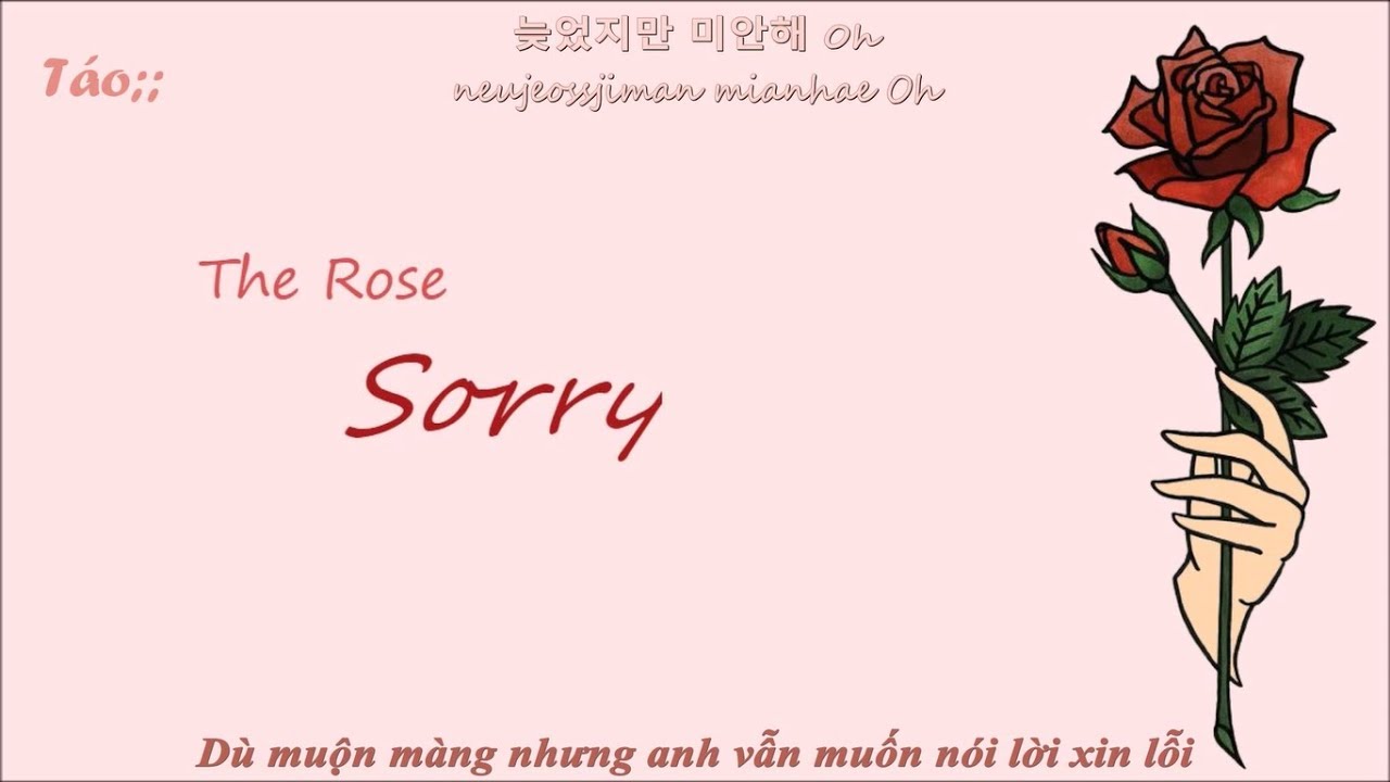 [Vietsub + Lyric] The Rose (더 로즈) - Sorry - YouTube