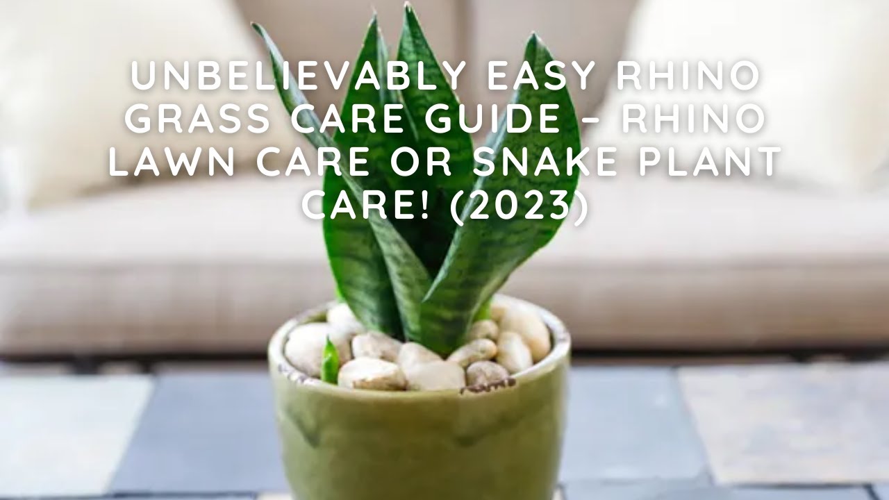 Unbelievably Easy Rhino Grass Care Guide – Rhino Lawn Care or Snake ...