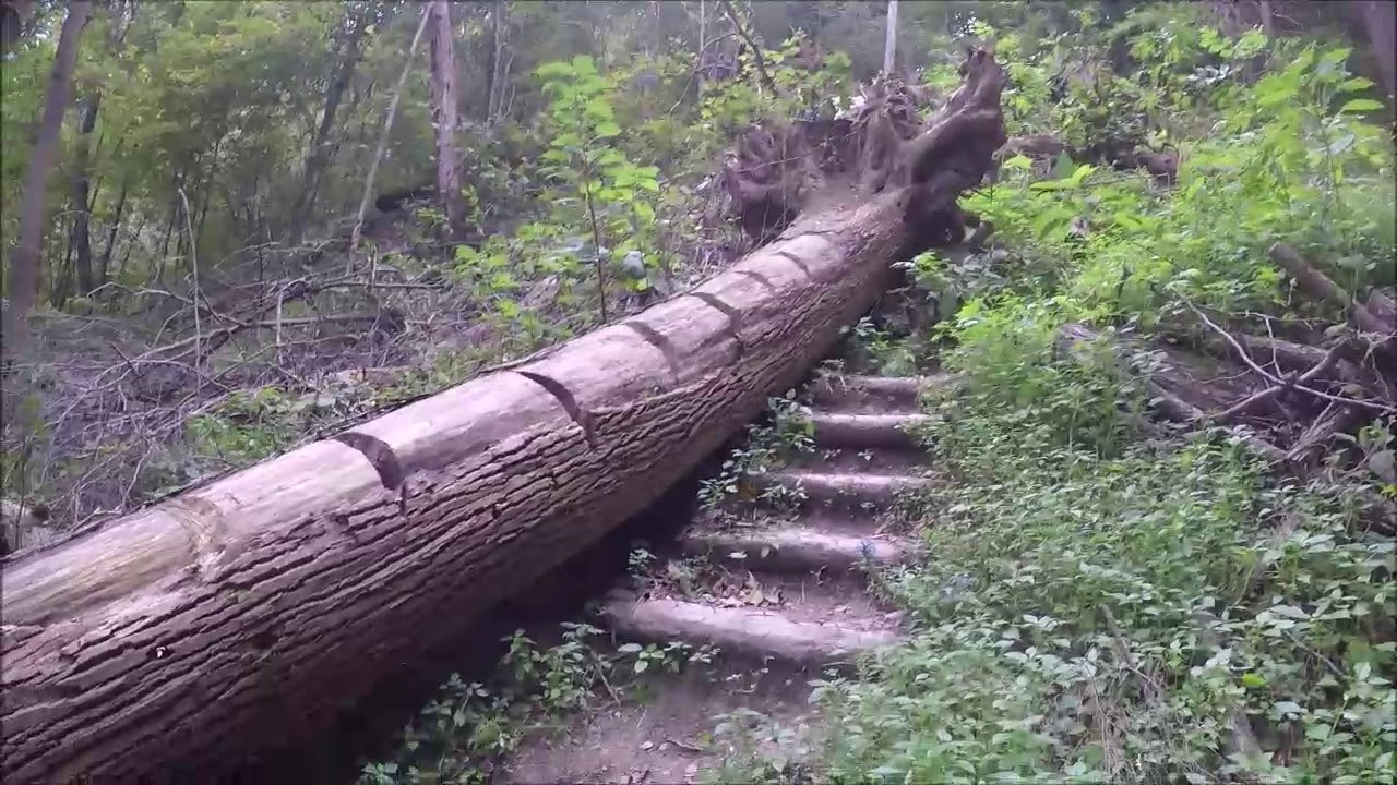 Slippery Rock Creek Gorge/Hells Hollow trails - YouTube