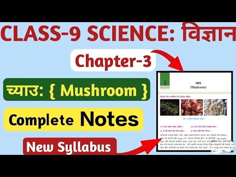 Class 9 Science Chapter 3 Notes 2081 | Class 9 Science Chapter Mushroom ...