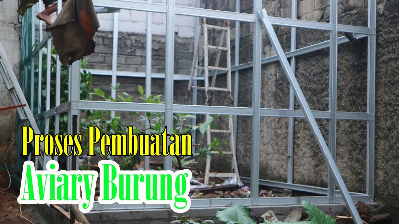 Proses Pembuatan Kandang Aviary Besar Semi alam || Bird Aviary - YouTube