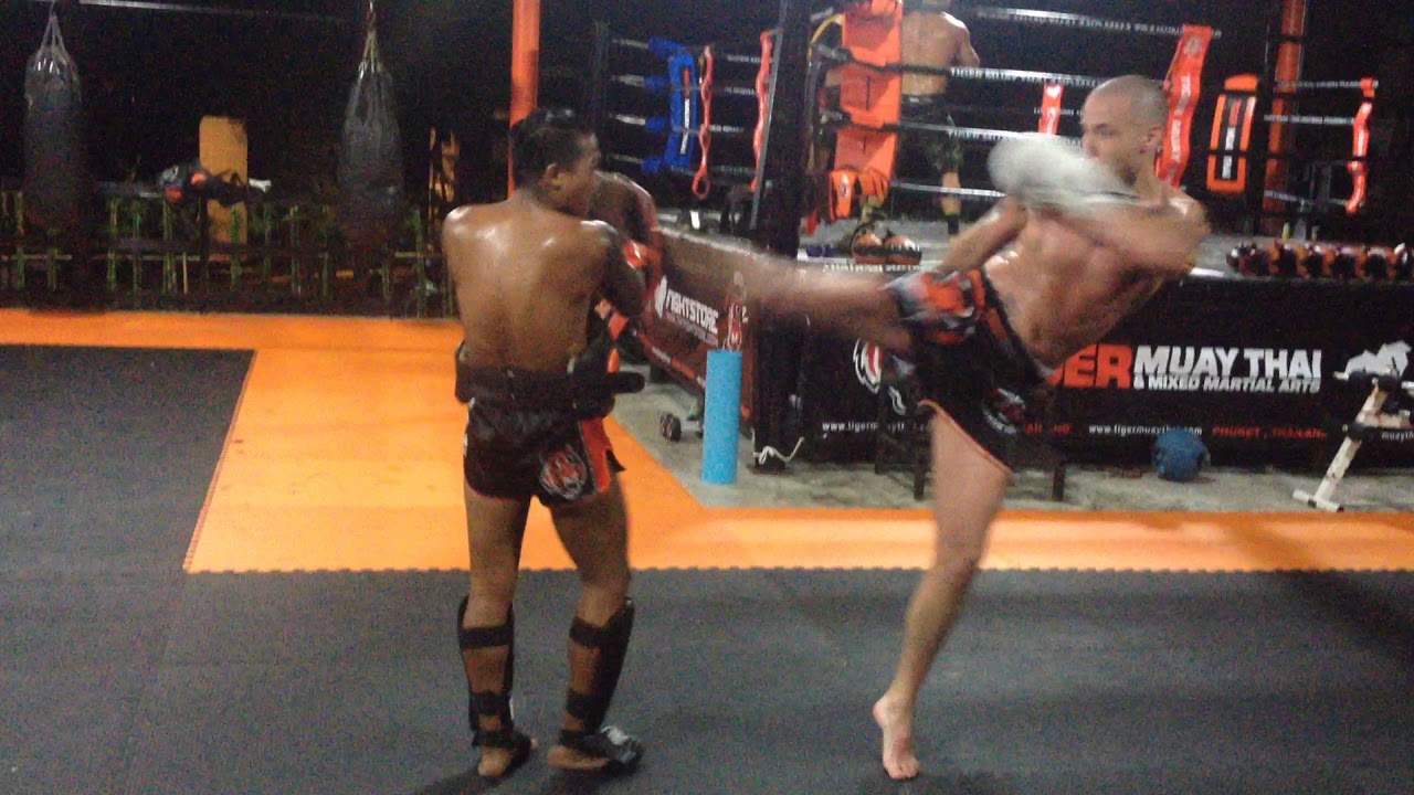 Pavo - Tiger Muay Thai and MMA Training Camp, Phuket, Thailand - YouTube