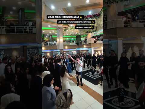 BERVAN ARGEŞ HALAY 2026