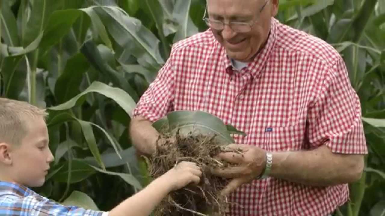 Al Miron on Cover Crops - South Dakota Corn - YouTube