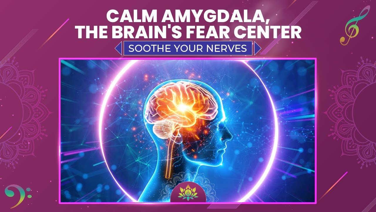 Calm Amygdala, The Brain's Fear Center - Soothe Your Nerves - Feel Your ...