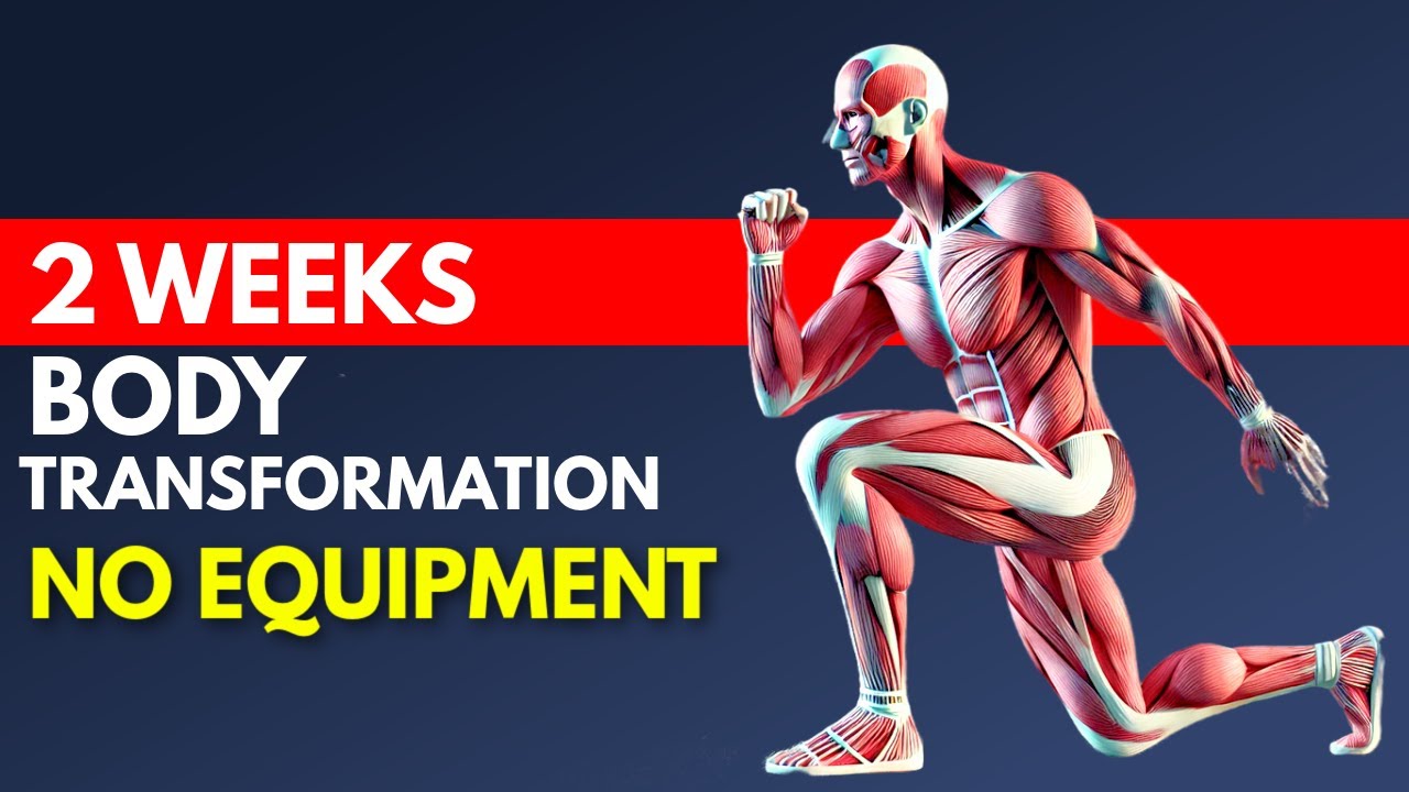 The Only 5 Exercises You Need To Transform Your Body - Fast Results ...
