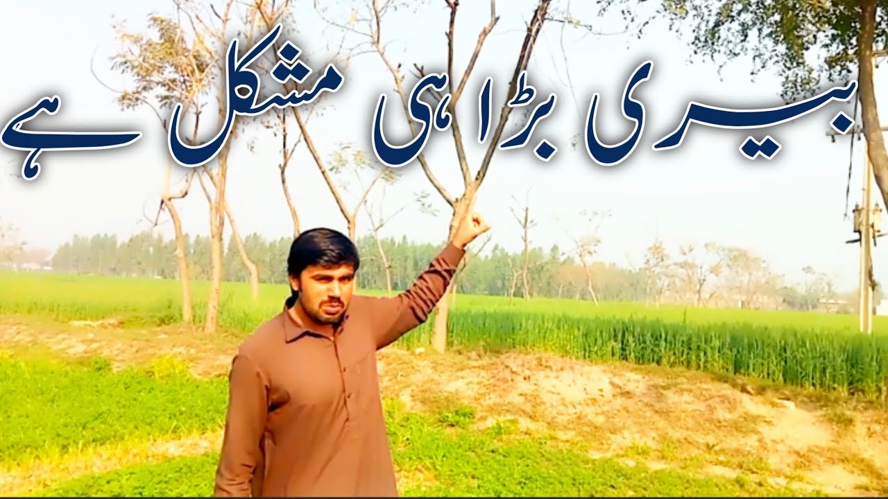 Gaon ka khalis mewa@Imran layyah - YouTube