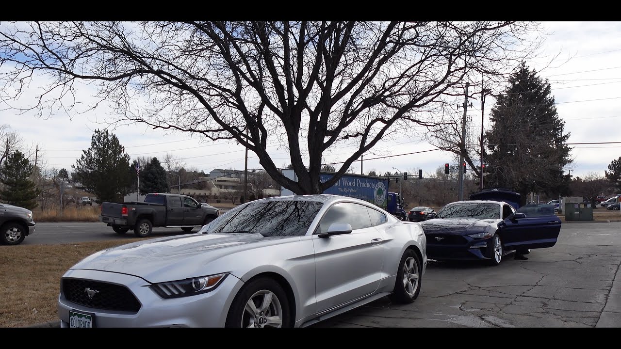 We Got Mustangs Together. - YouTube