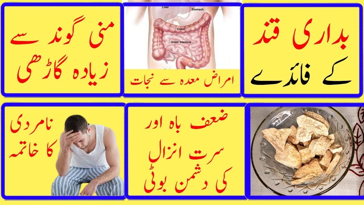 Badhari Qand | Badhari Qand Ke Fayde Urdu Hindi | Mujarab Nuskhe - YouTube
