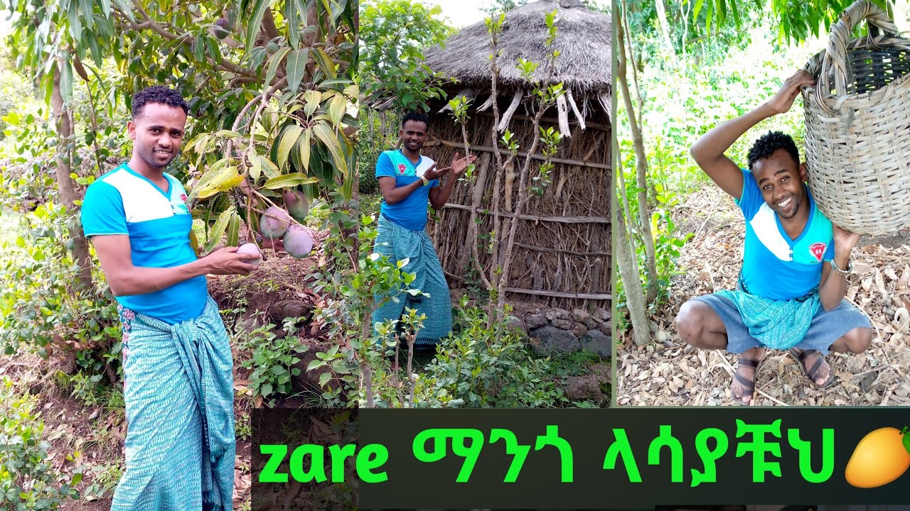 🛑zare ማንጎ ላሳያቹህ🥭😜 - YouTube