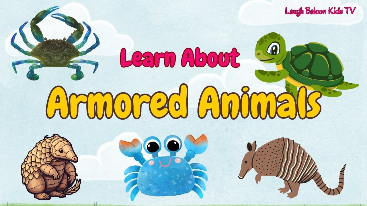 Teaching English for Kids through animals | Armored Animals | Laugh ...