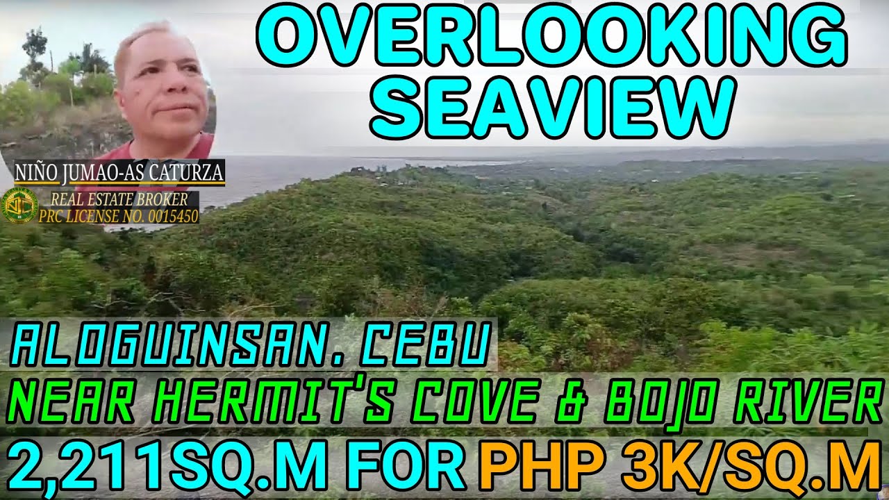 Overlooking lot for sale 2,211 sqm near Hermit's Cove & Bojo river ...