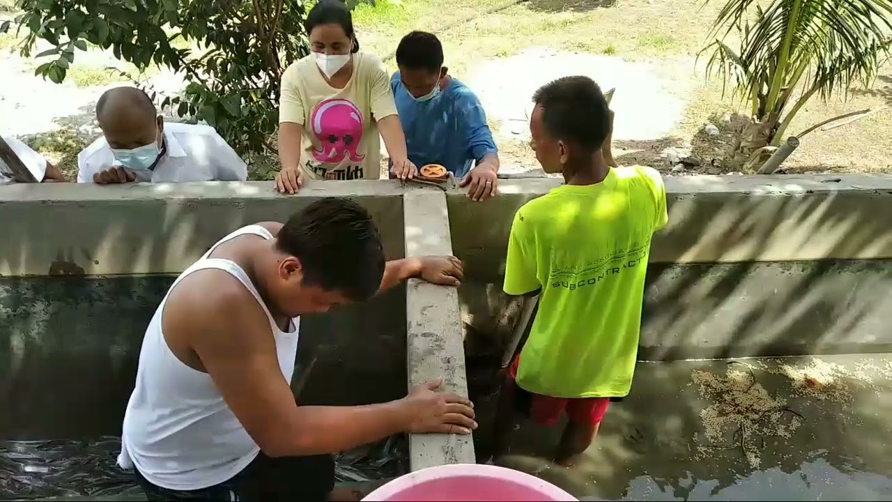 Concrete Fishpond for catfish | hito | Regner Tena - YouTube
