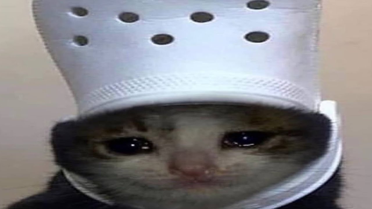 Top 5 penar explosion chamber cat videos (Part 4) - YouTube