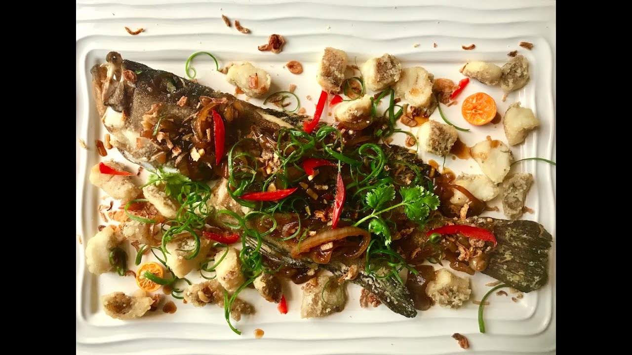 Breaksea Cod Tempra - YouTube