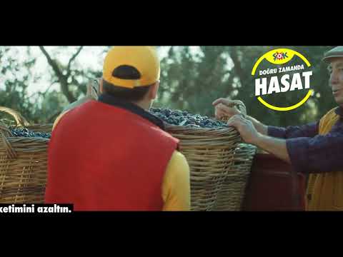 Tarladan sofraya zeytin, bize emanet!