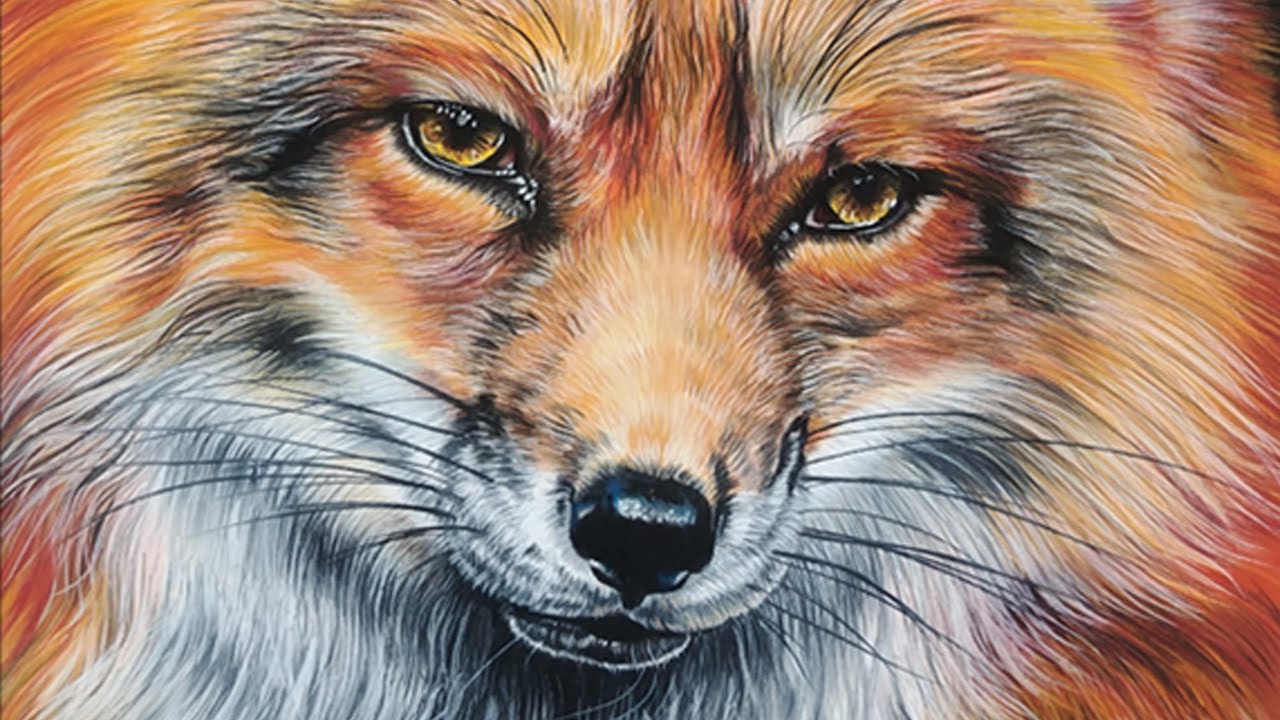 Beautiful Fox Drawing
