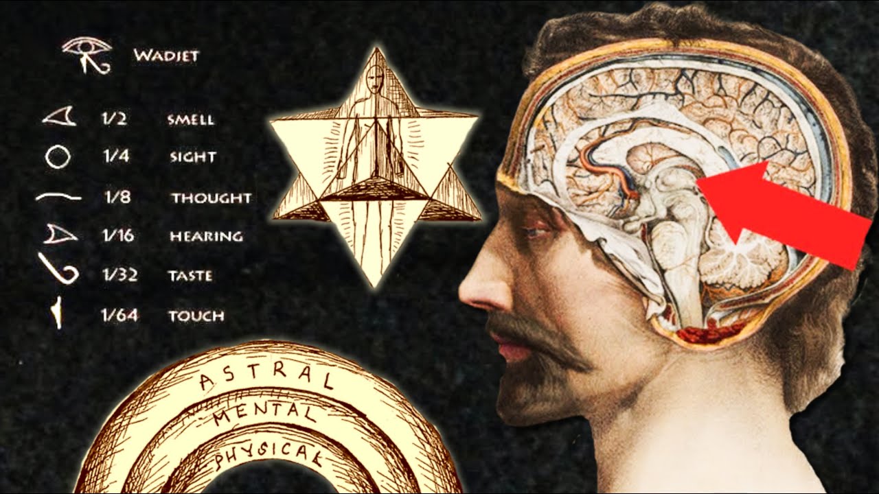 Quantum Mysticism: Decoding the Universe's Arcane Connections - YouTube