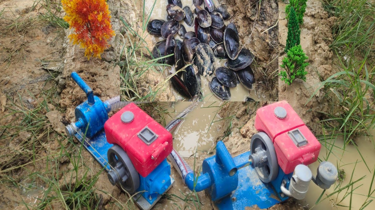 Amazing diy mini water pump to catch shell at field#shorts #subscribe # ...