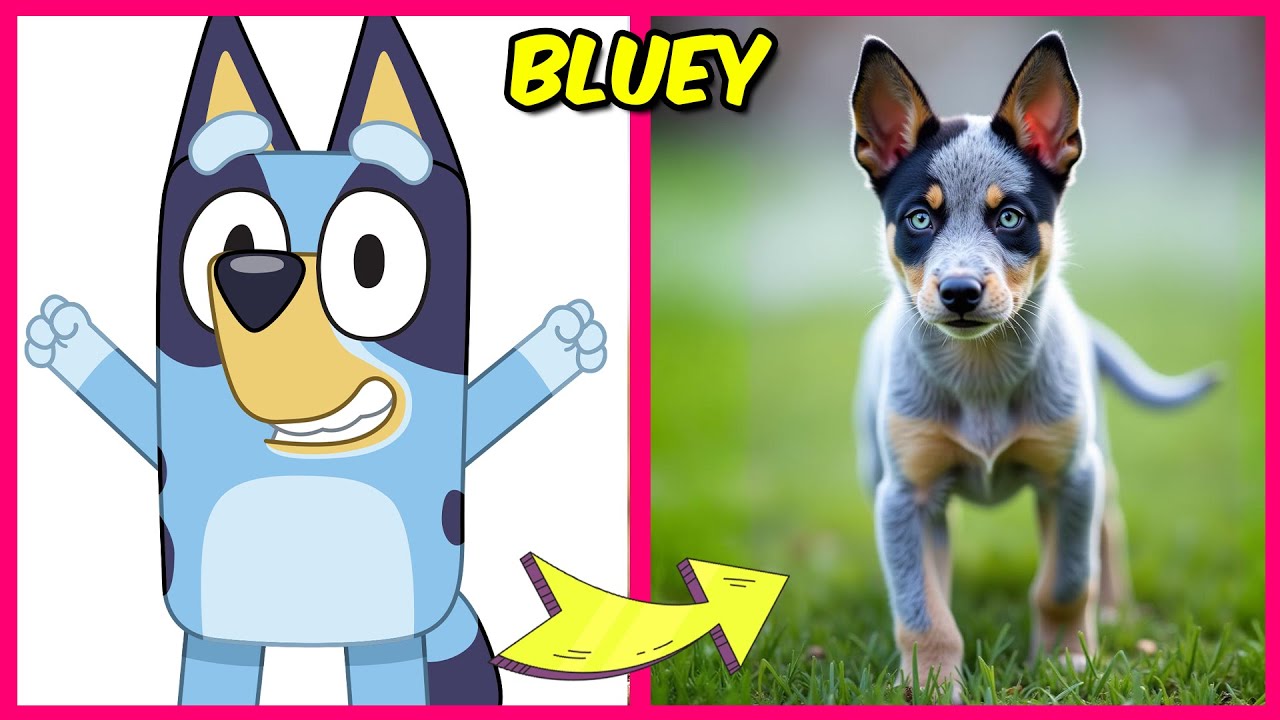 The Bluey Movie🎬Characters in Real Life🔥+ Squint Your Eyes Quiz + Their ...