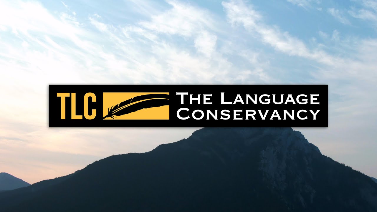 The Language Conservancy: Helping Preserve Languages Worldwide - YouTube