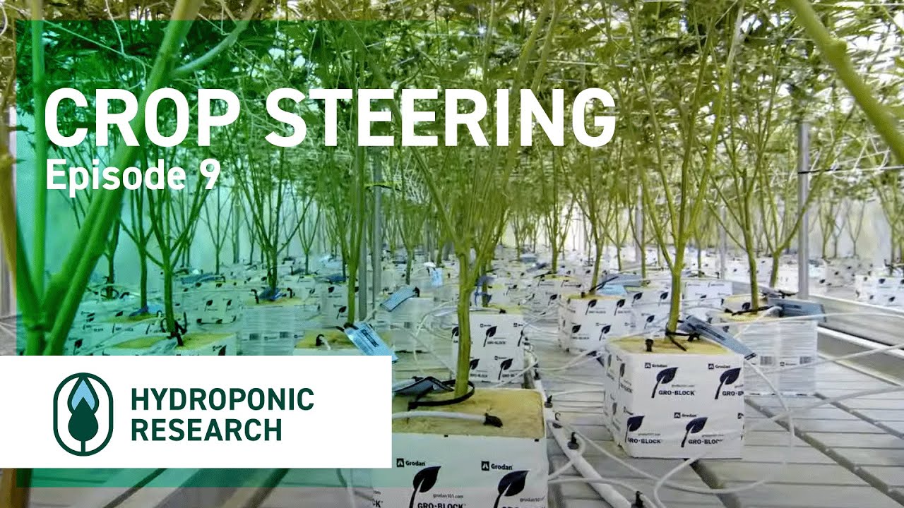 Hydroponic Research presents Growers Notebook: Crop Steering - YouTube