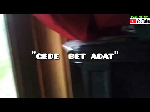 GEDE BET ADAT