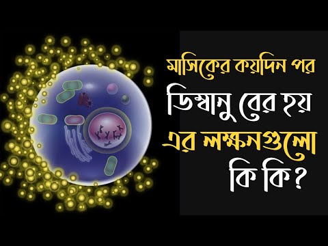 ডিম্বাণু বের হওয়ার লক্ষণগুলো জেনে নিন । Ovulation Symptoms in Bangla । Ovulation Symptoms