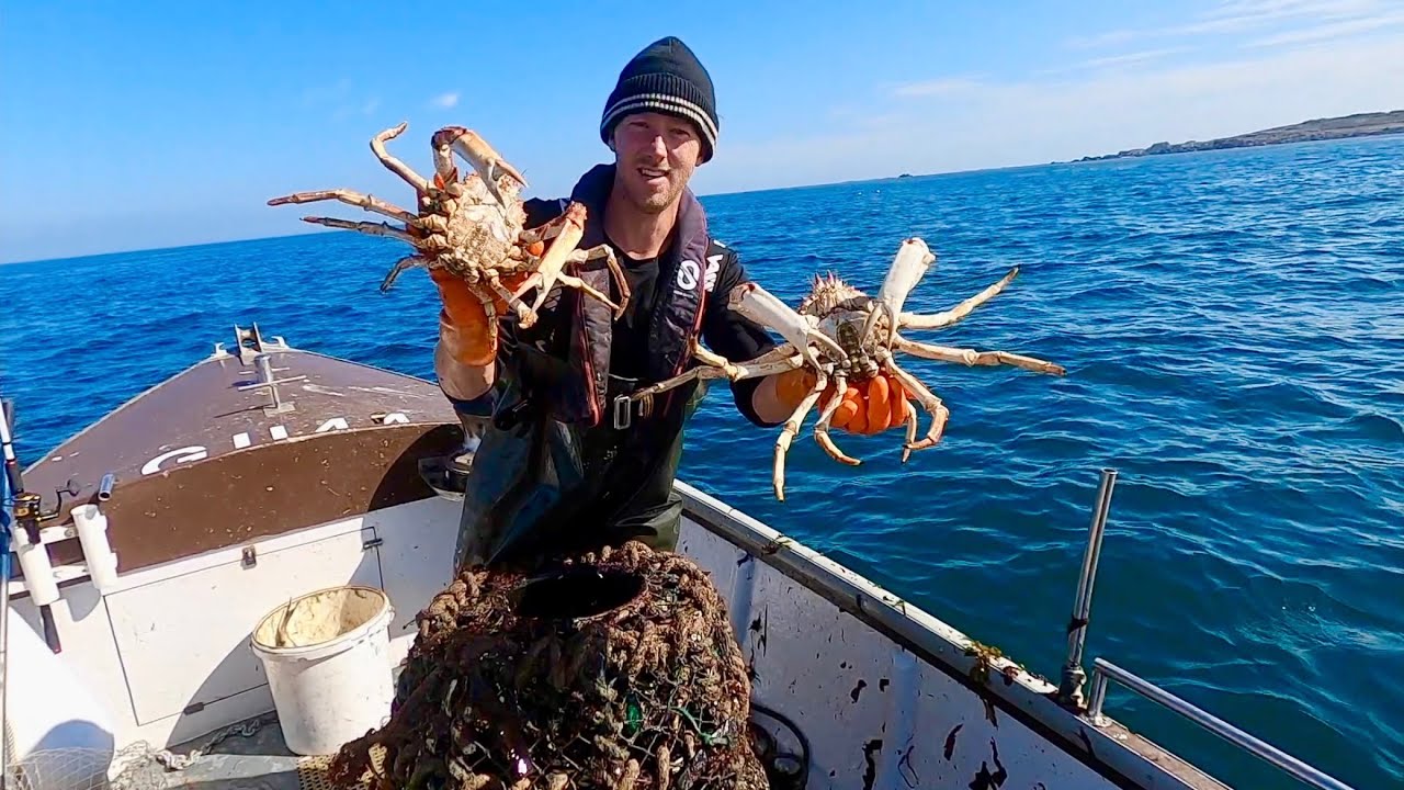 Fishing - Crabbing & New Winch ! Chancre Bass Mackerel Spider Crabs ...