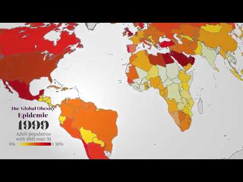 history of obesity macronutrients and effects. - YouTube
