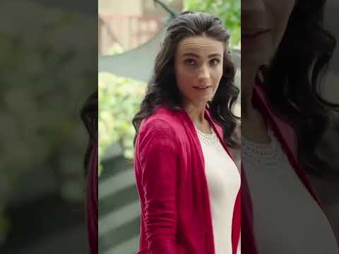 Köpek Sizin Mi Kira Mı? #düğündernek #ahmetkural #muratcemcir