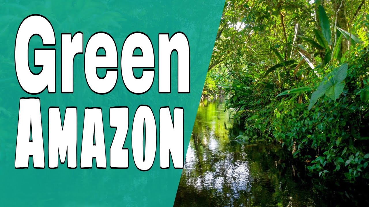 Green Amazon - YouTube