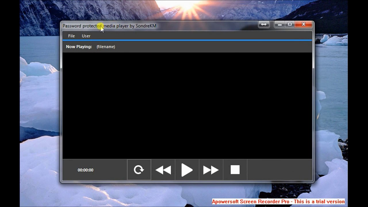 Password protected advanced media player (download projekt) in Visual ...