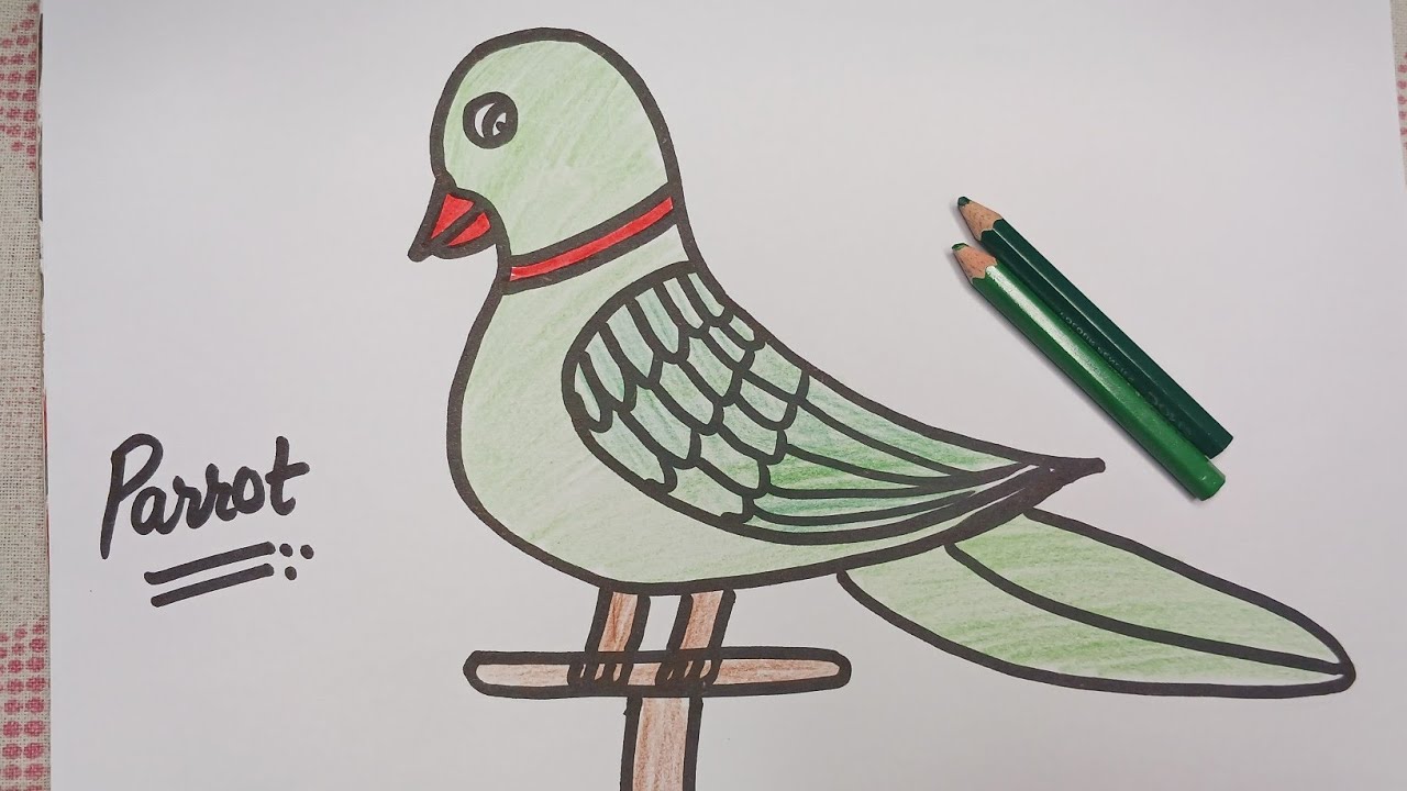 How to Draw a parrot/ easy Drawing parrot step by step/ - YouTube