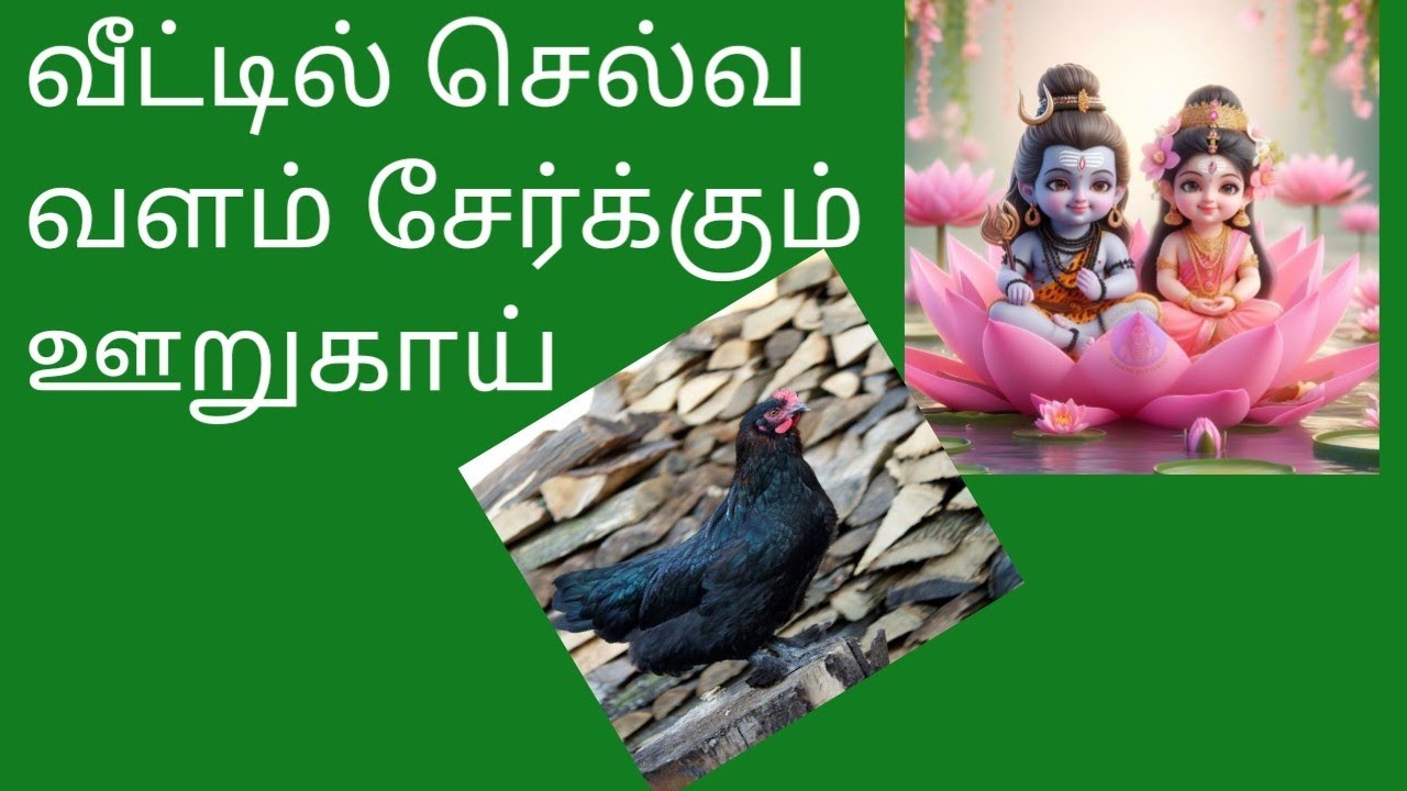 வீட்டில் செல்வ வளம் சேர்க்கும் ஊறுகாய், guess the first line of the ...