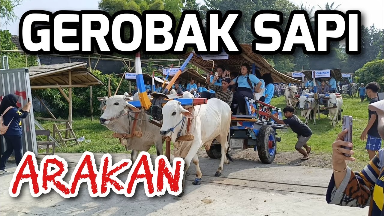 FULL Arakan Gerobak Sapi Daikin 2025 Kirab Cikar Pedati Omah Kecebong ...