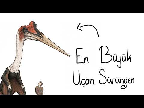 Eğer Bir Quetzalcoatlus Olarak Doğsaydın?