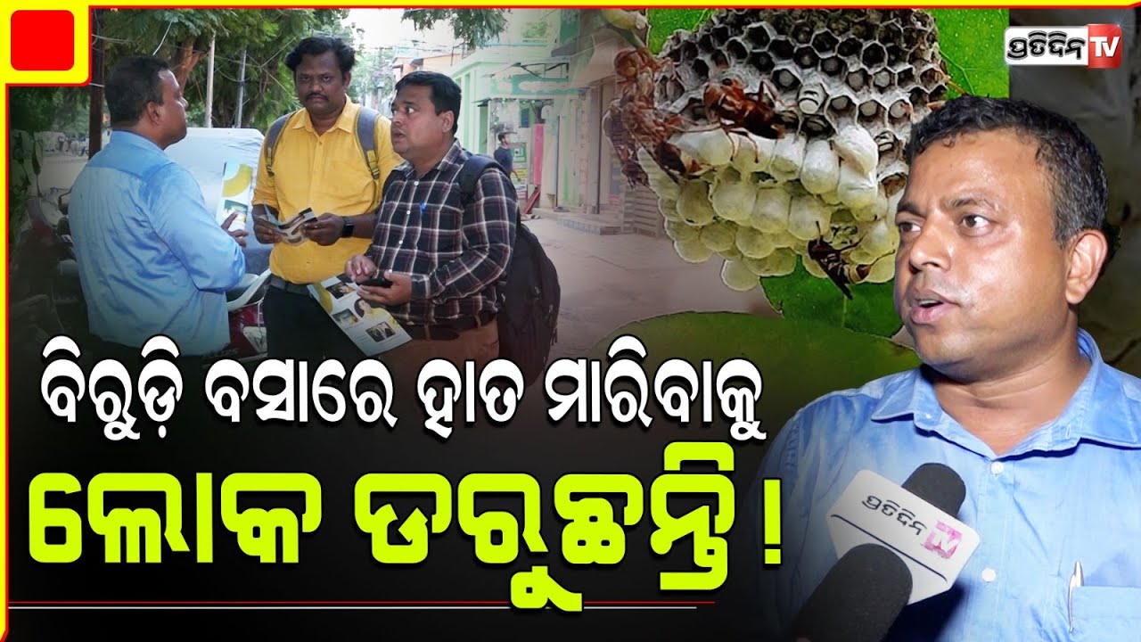 ବିରୁଡ଼ି ବସାରେ ହାତ ମାରିବାକୁ ଲୋକ ଡରୁଛନ୍ତି! MLA candidate Byomkesh ...