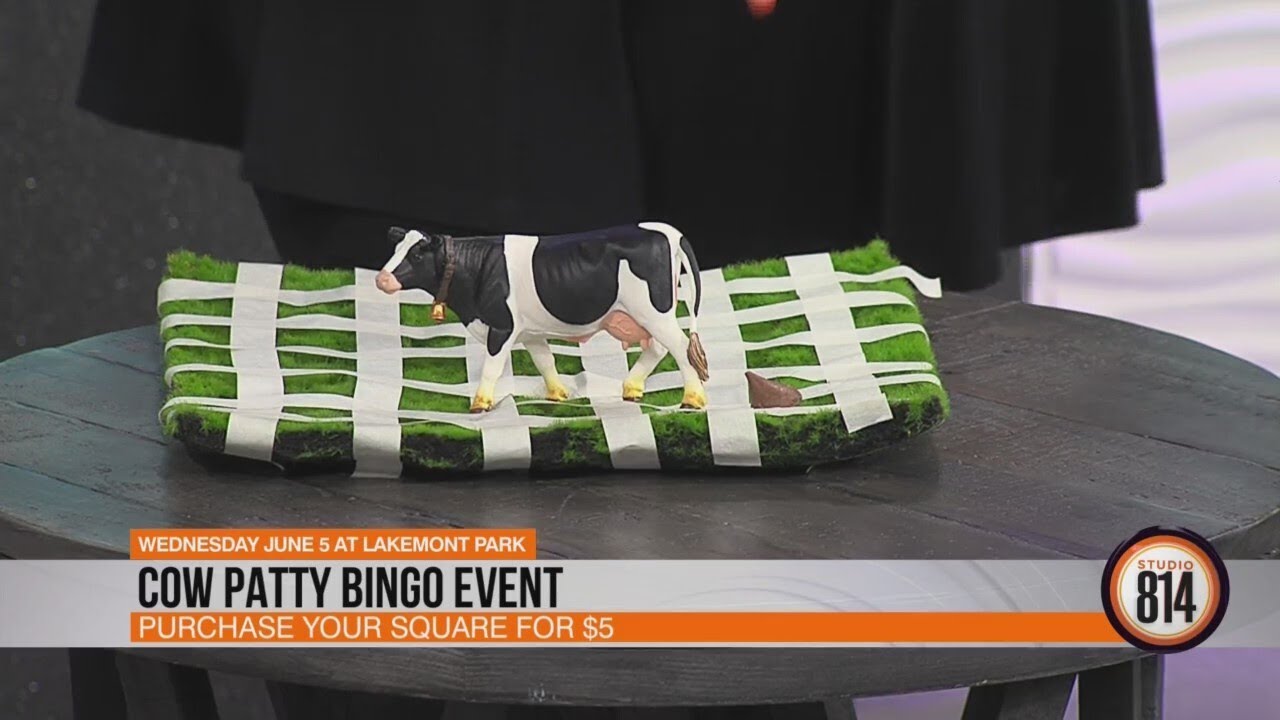 Miracle League of Blair County's 'Cow Patty Bingo Fundraiser' - YouTube