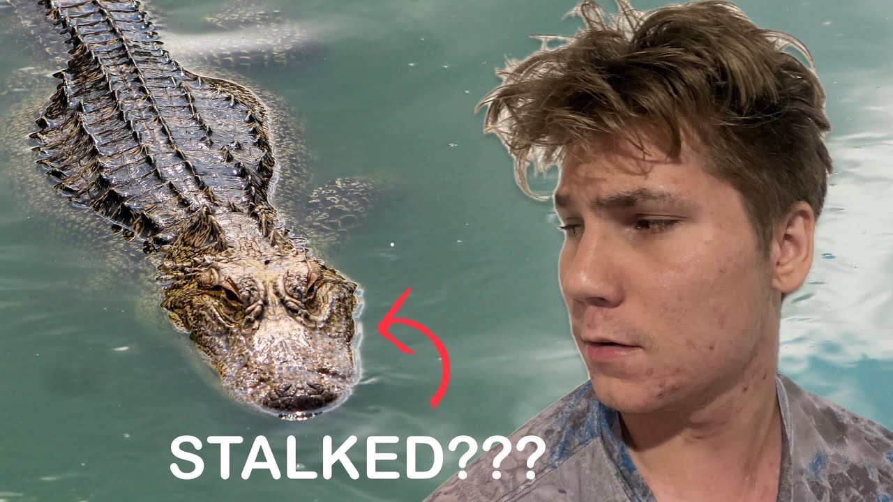 Fishing in GATOR INFESTED PONDS!!! (Stalked) - YouTube