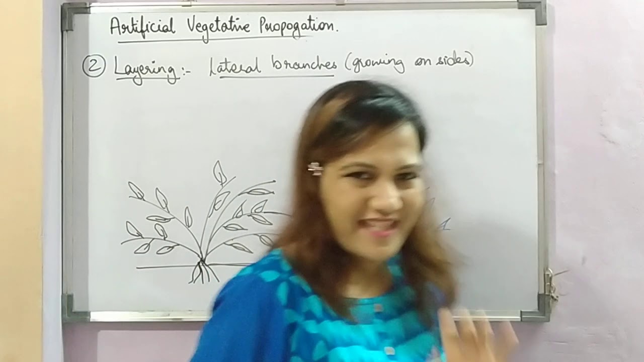 8 ICSE-Biology-Reproduction in Plants-Video 3-Minal Punamiya-HOD ...