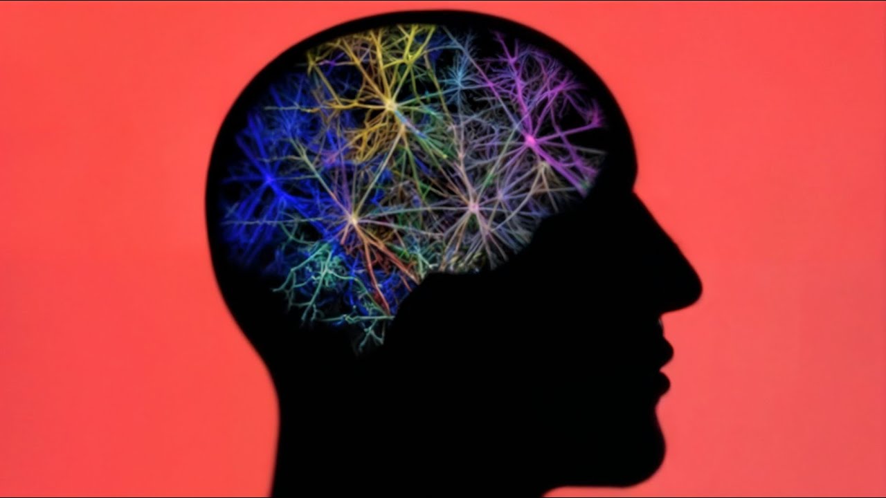 CLASE PNL - Como programar mi cerebro - YouTube